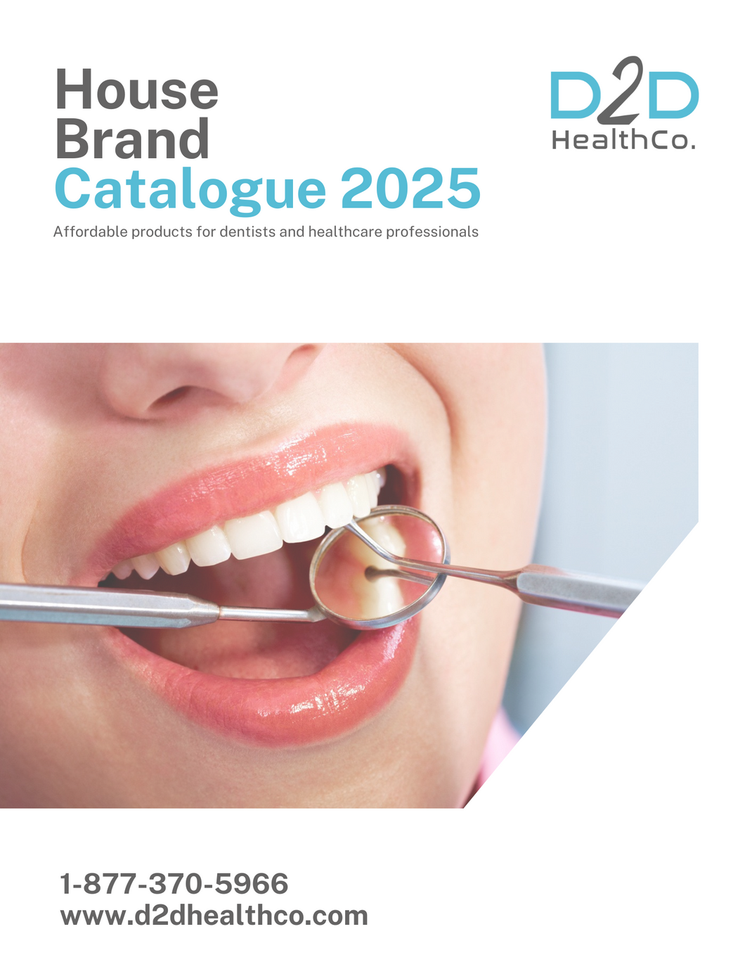 Dental Consumables, Instruments, PPE, Canada, D2D HealthCo.